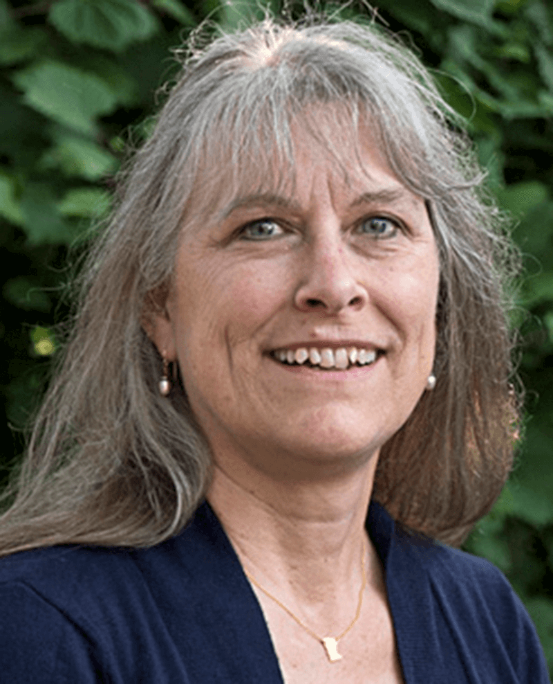 Holmberg challenges Jordan for 60A seat – MyNortheaster.com